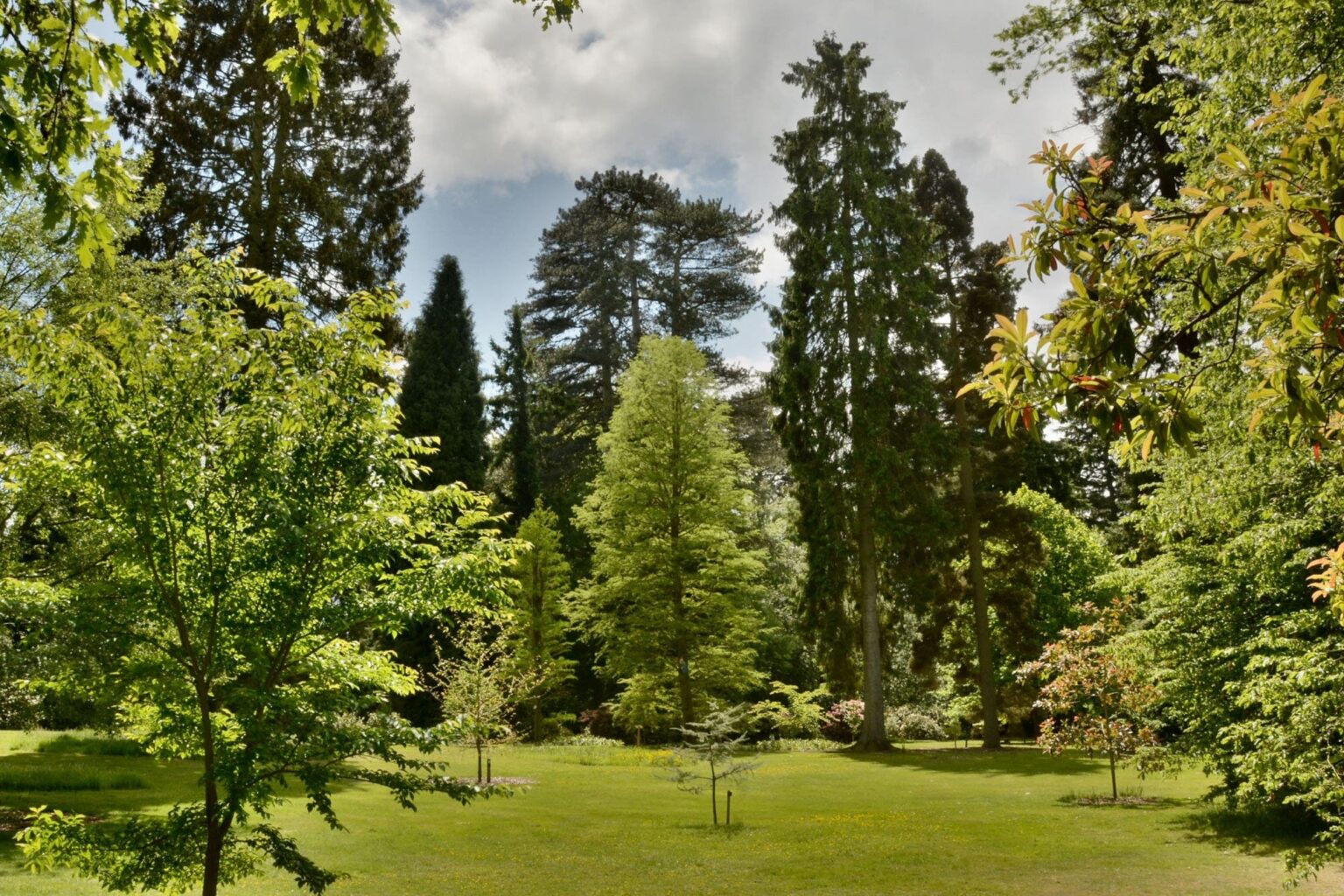 Arboretum – Arley Estate | Worcestershire Wedding Venue